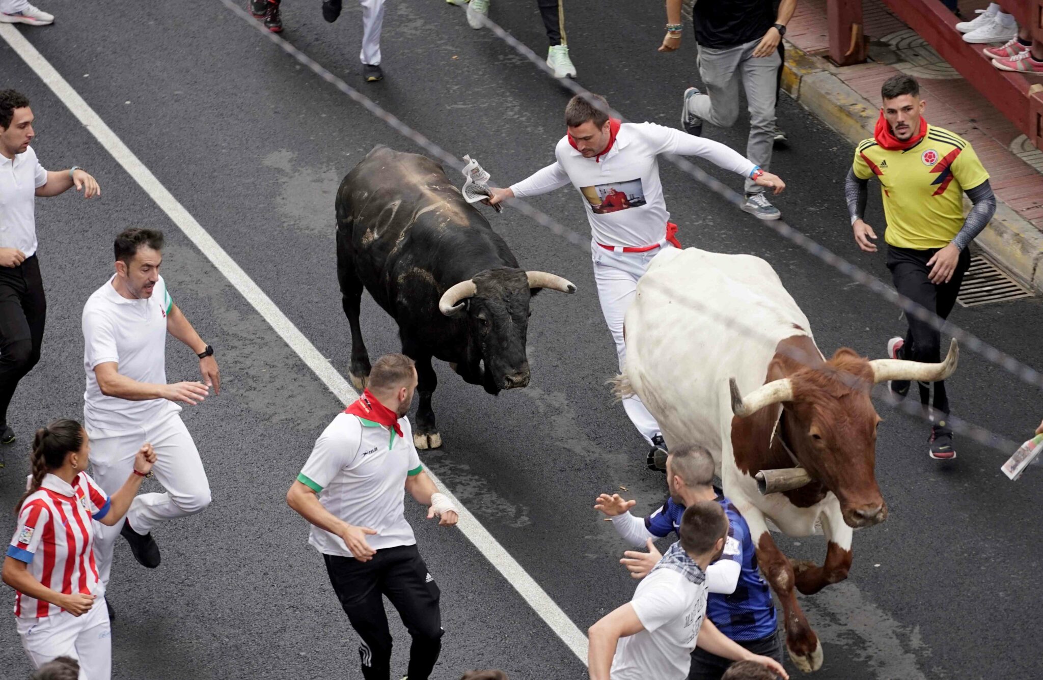 Los toros del último encierro de las Fiestas de Sanse han sido ...